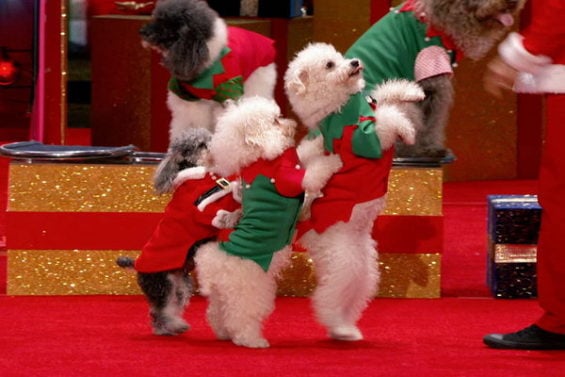 Watch America's Got Talent Holiday Spectacular Videos: On Monday ...