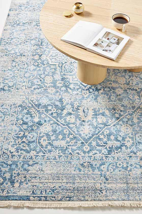 The Best Blue & White Rugs In A Variety Of Styles - Candie Anderson