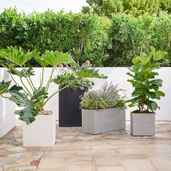 The Best Square Planters For Your Patio & Front Porch - Candie Anderson